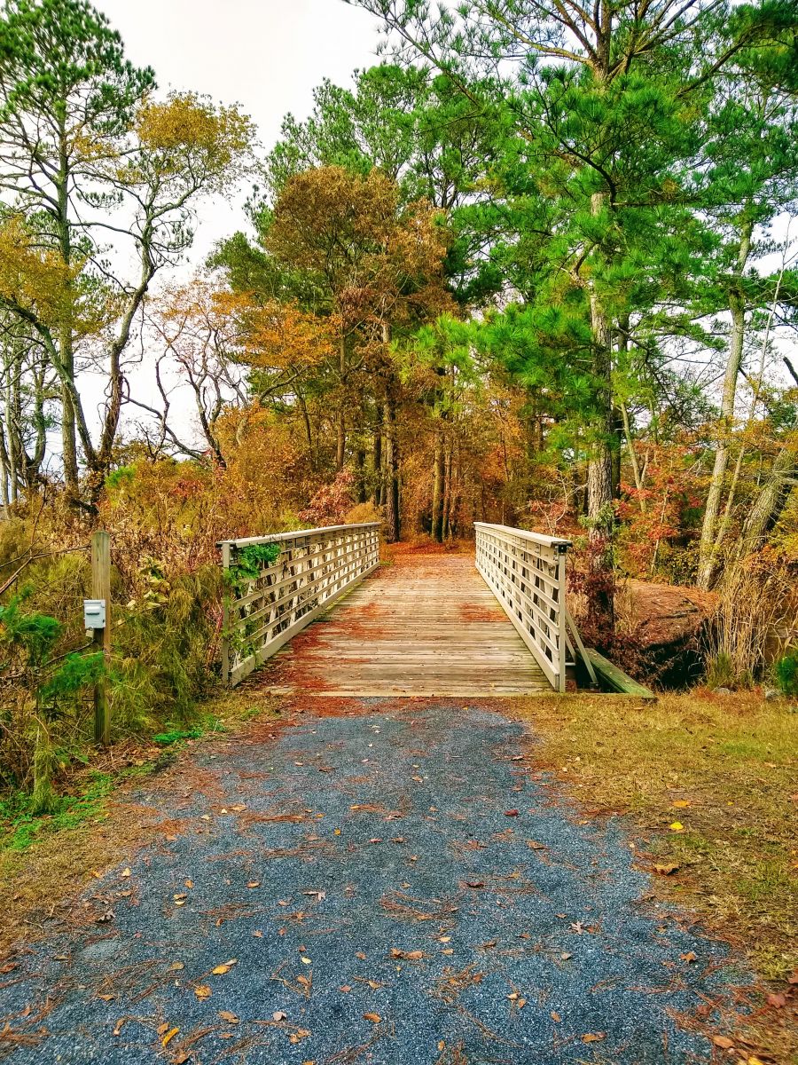 Take These 8 Small but Mighty Steps Towards Sustainable Tourism in ...